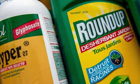 Roundup Glyphosate 360 gr/lt (Non-Selective Systemic Herbicide ...